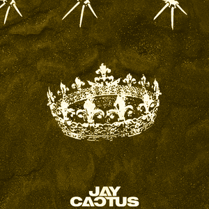 Jay Cactus Beat Store