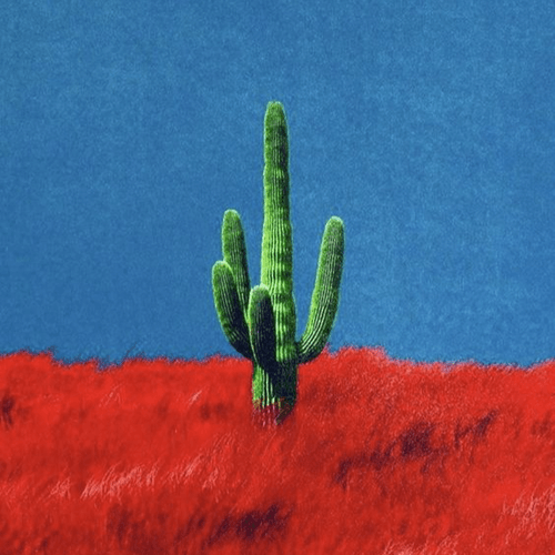 Get 2 Free - Travis Scott Type Beat - "Django" by Bokoven