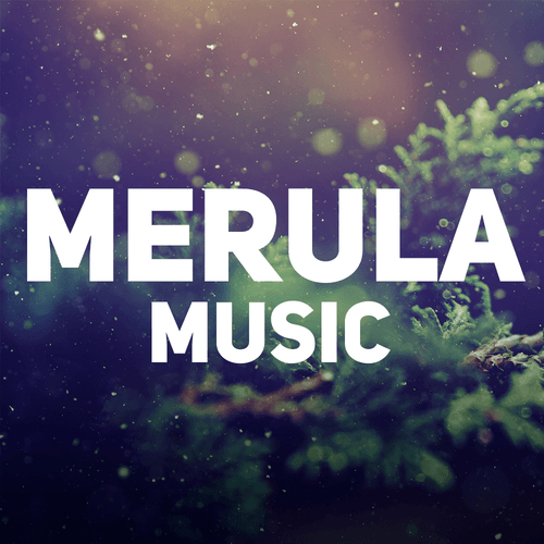 Merula Music - Instrumentals & Beats - Mixing & Mastering Services